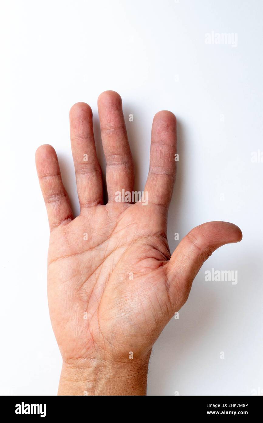 Toes, hands and nails. Male human body parts 20 to 30 years old 24Mpx ...