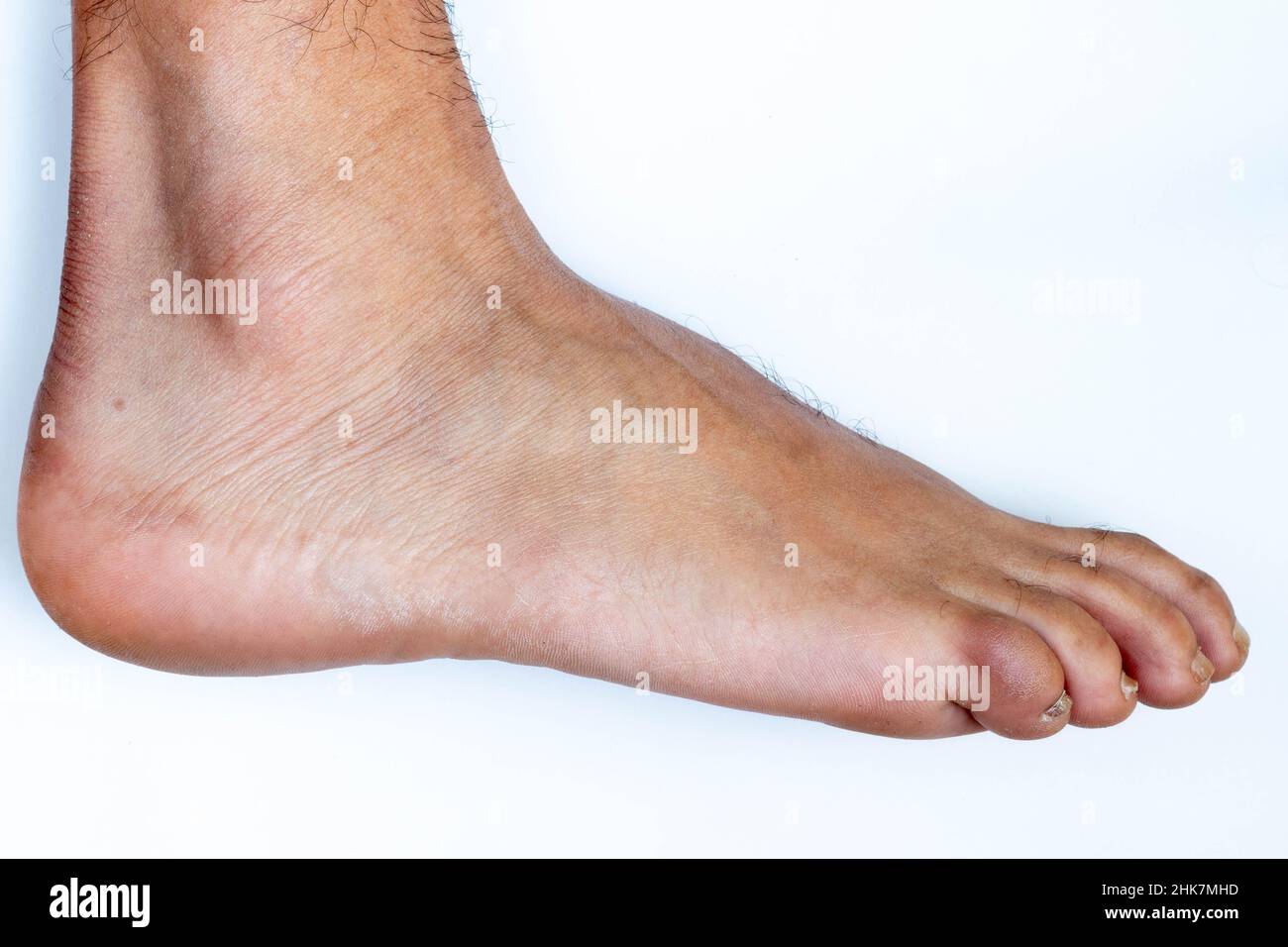 Human body parts hi-res stock photography and images - Alamy