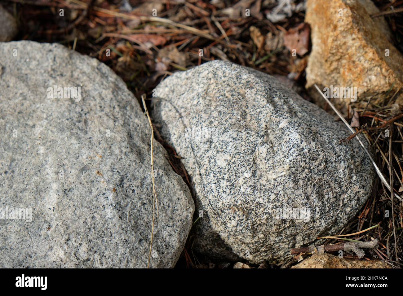 Detritus cycle hi-res stock photography and images - Alamy