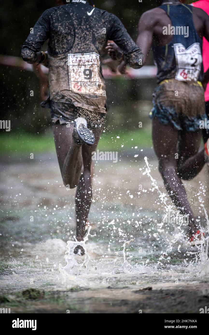 Athlete's legs running in a Cross Country between water and mud, pure ...