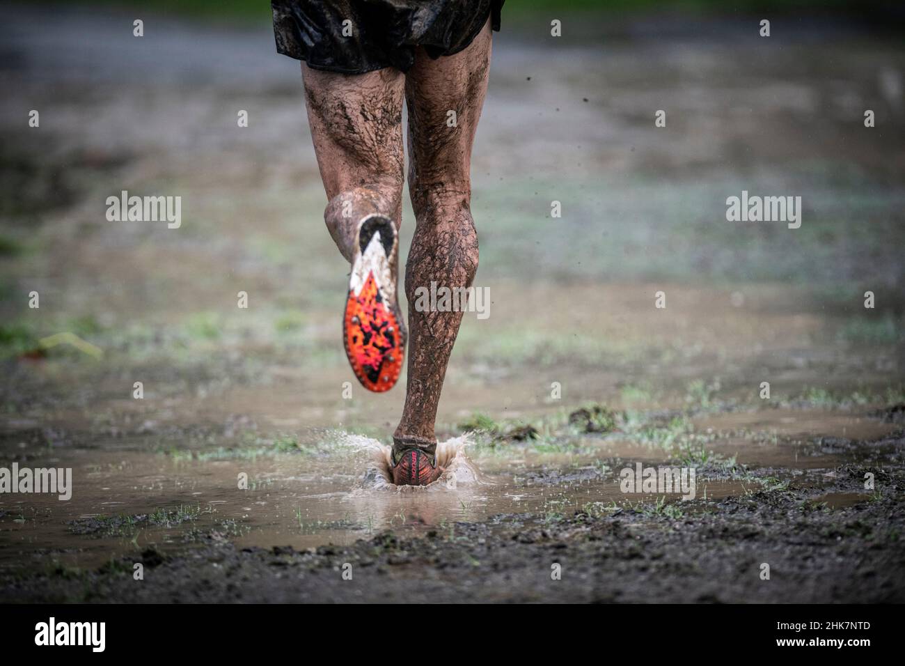 Athlete's legs running in a Cross Country between water and mud, pure ...