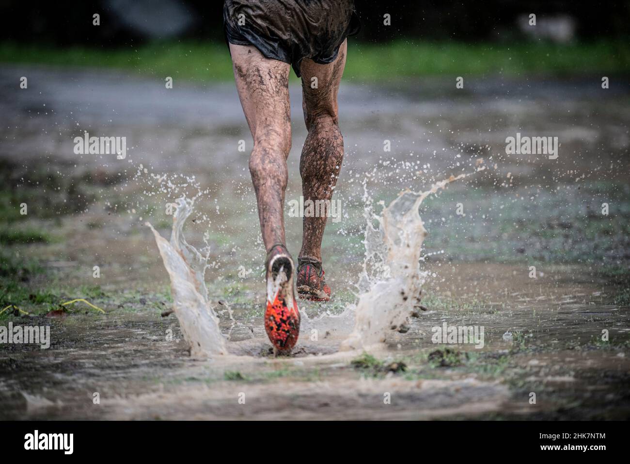 Athlete's legs running in a Cross Country between water and mud, pure ...
