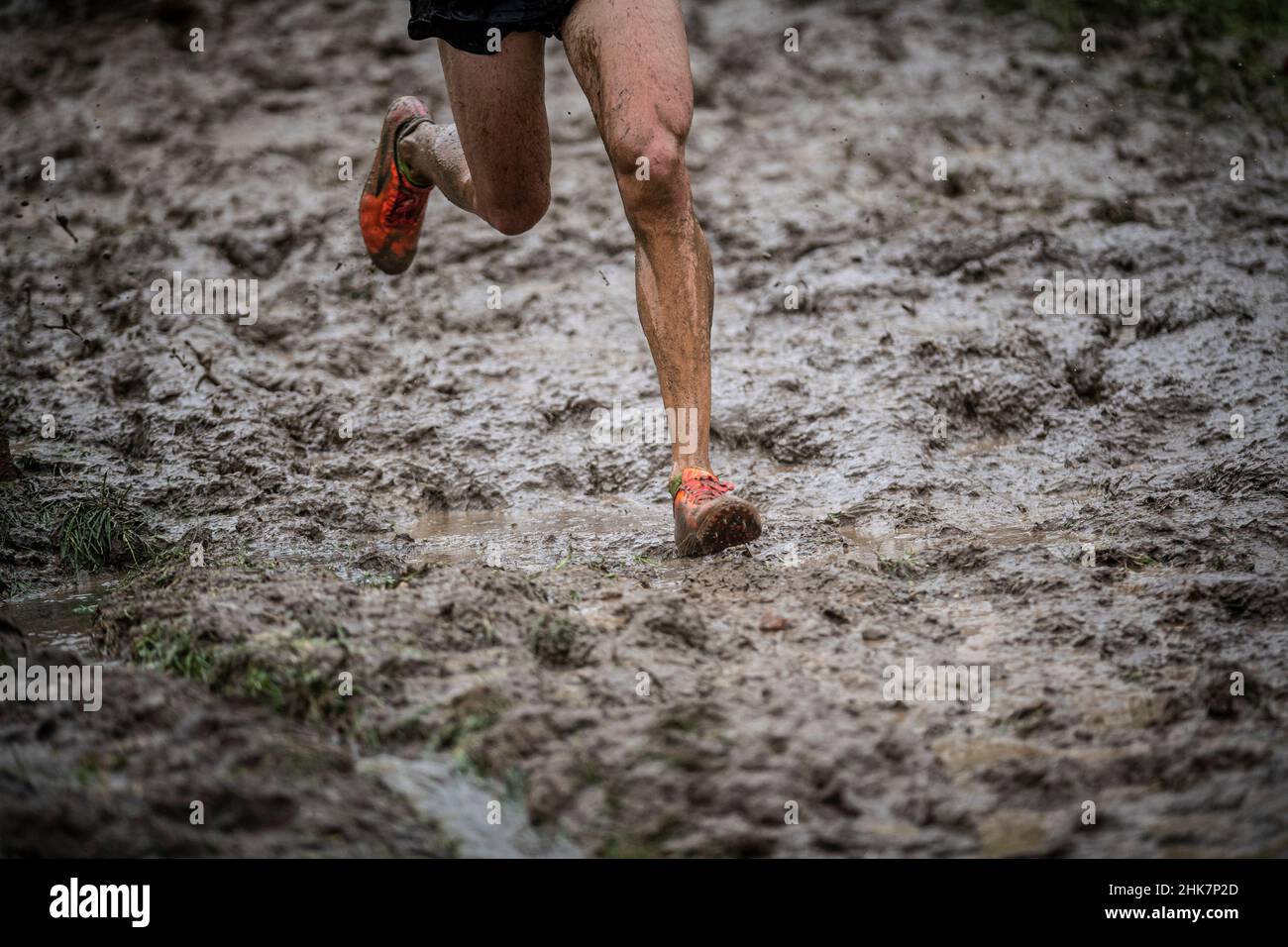 Athlete's legs running in a Cross Country between water and mud, pure ...