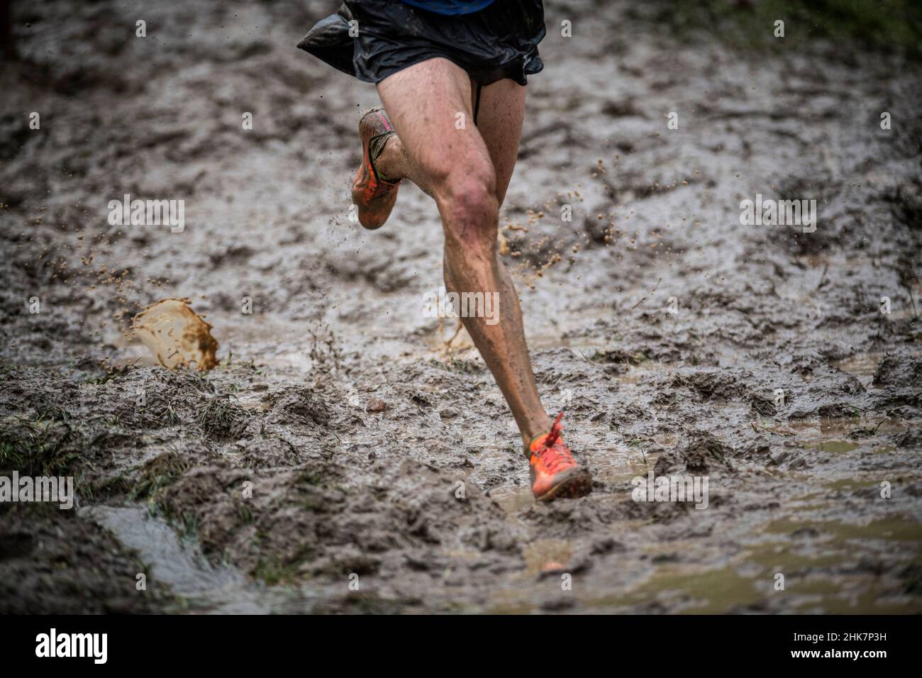 Athlete's legs running in a Cross Country between water and mud, pure ...