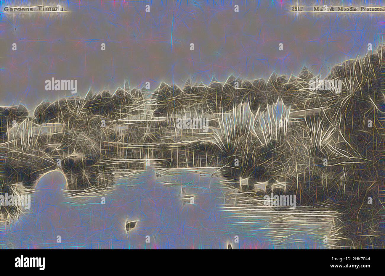 Inspired by Gardens, Timaru, Muir & Moodie studio, 1911, Timaru ...