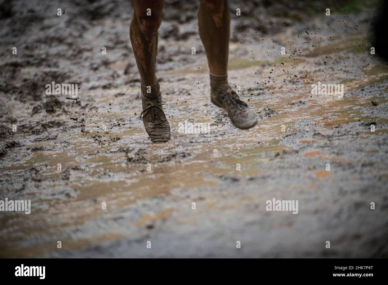 Athlete's legs running in a Cross Country between water and mud, pure ...