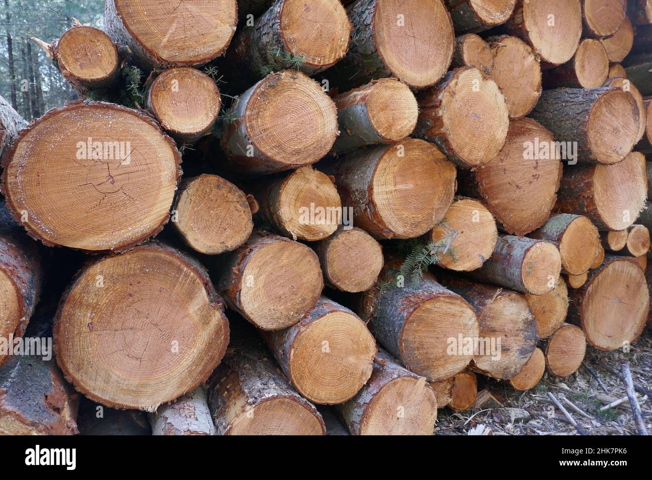 Pattern of stacked tree trunks. End of the tree trunks Stock Photo - Alamy