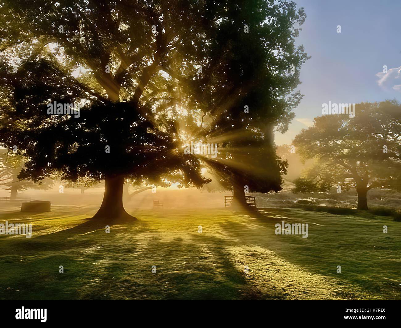 Sun casting rays light hi-res stock photography and images - Alamy