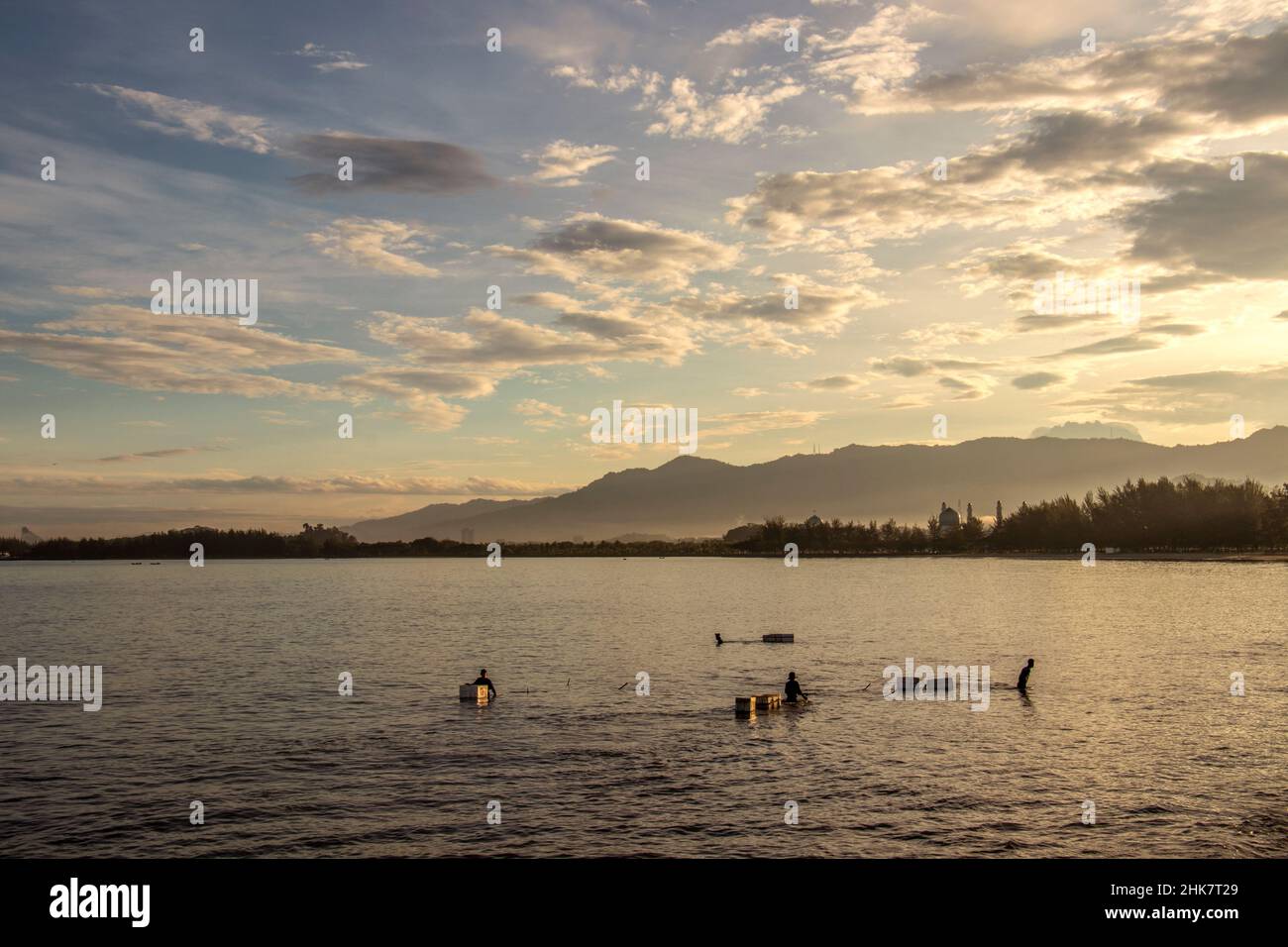 Fishing Likas Bay Kota Kinabalu Sabah Borneo Malaysia Stock Photo - Alamy