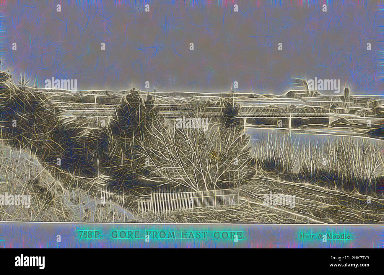 Inspired by Gore from East Gore, Muir & Moodie studio, photography ...