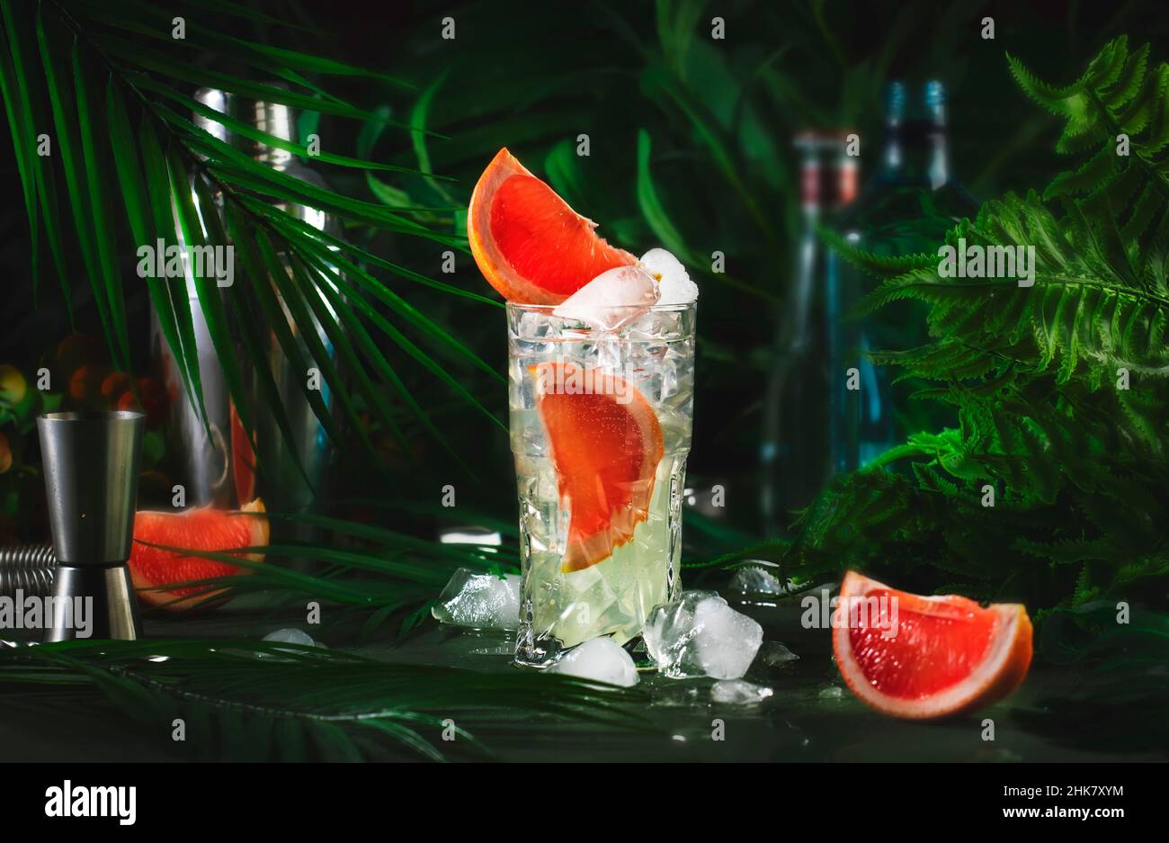 Gin bitter lemon alcoholic long drink cocktail with dry gin, tonic ...