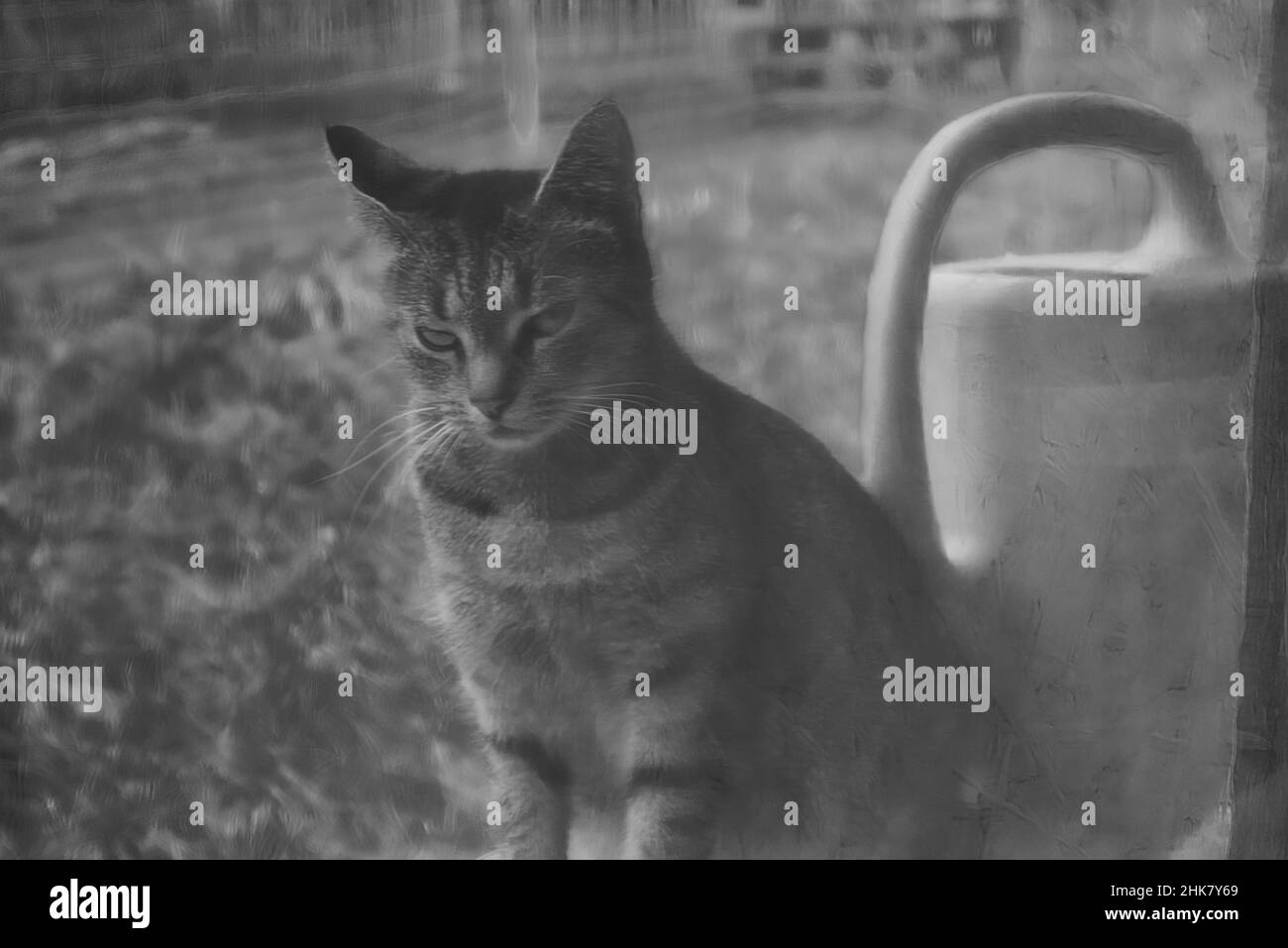 Grayscale of a cute cat in a garden Stock Photo - Alamy