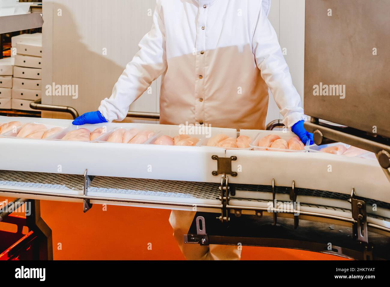 Line for the production of semi-finished meat products.Meat processing ...