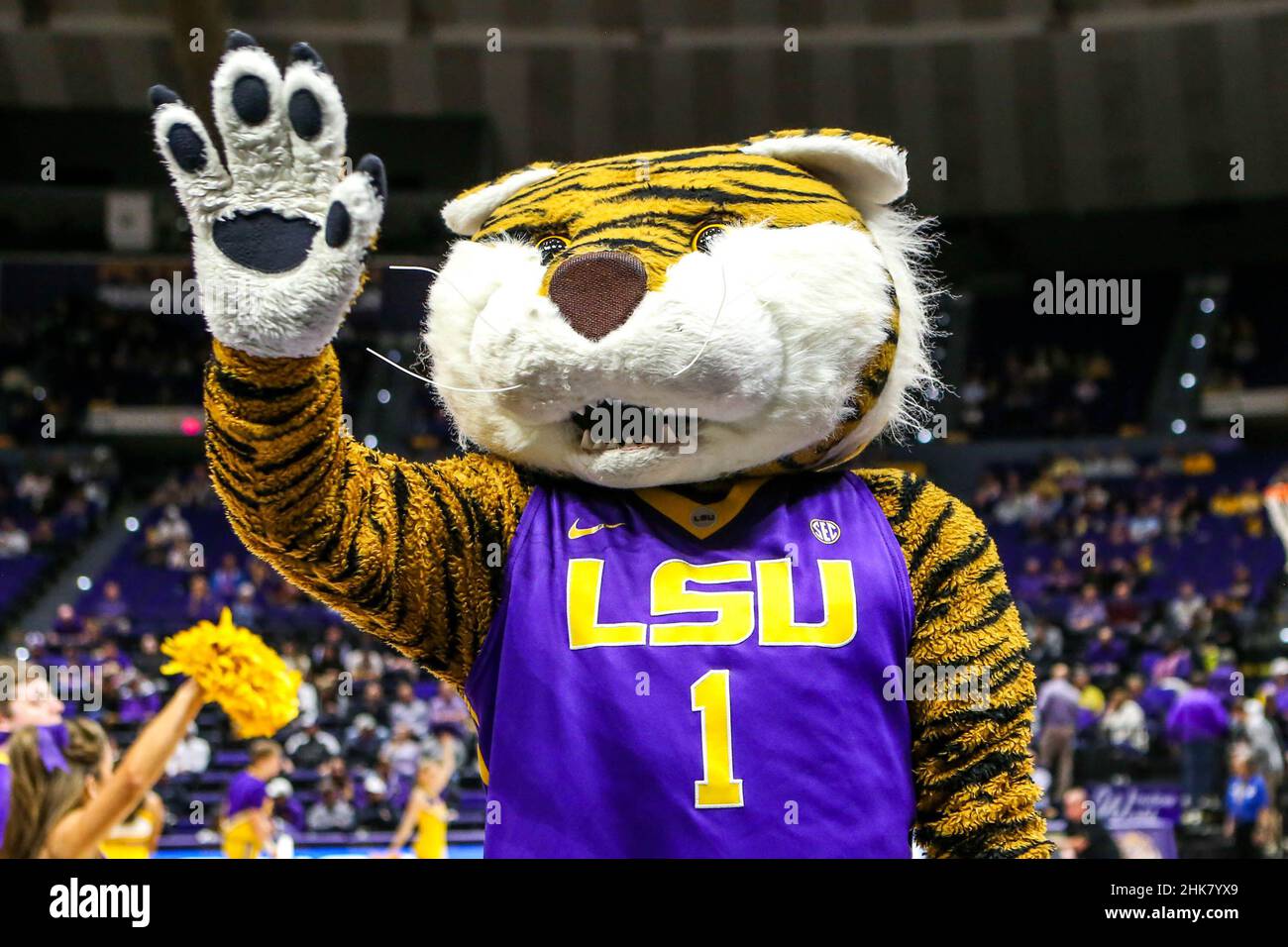Baton Rouge, LA, USA. 1st Feb, 2022. Mike the Tiger, LSU's waves to the ...