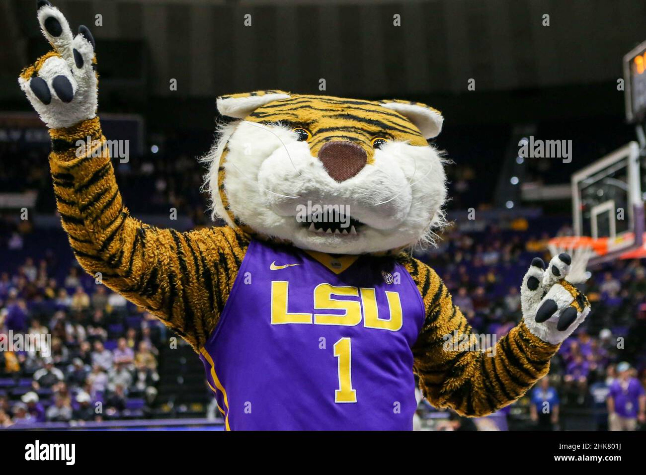 Tiger Basketball Mascot