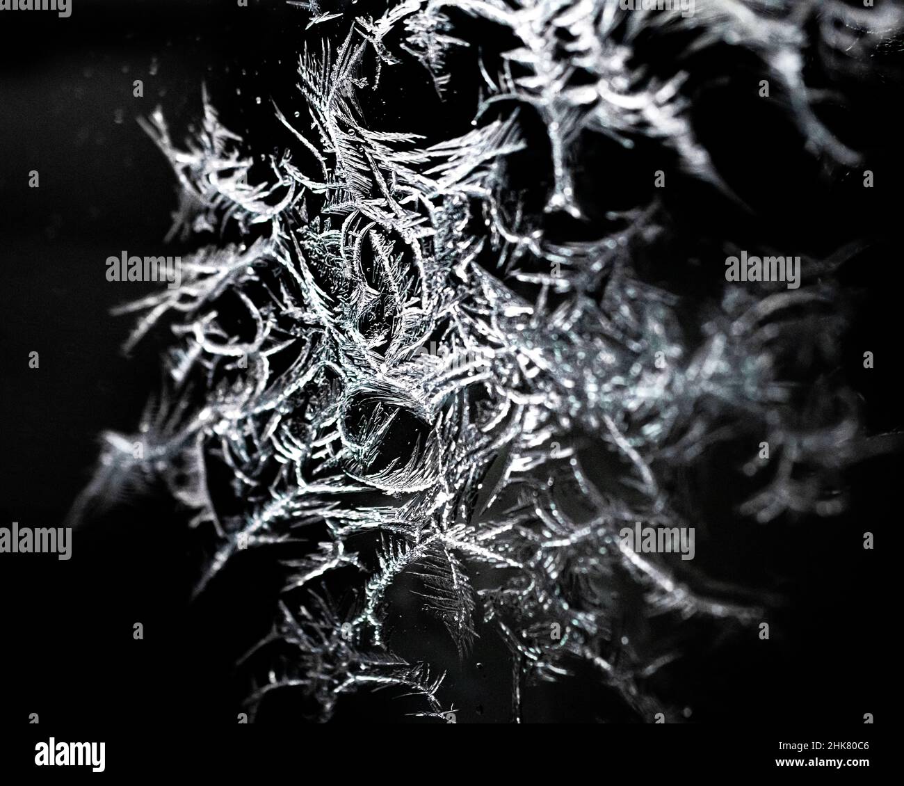 Ice crystals frost - frozen water forms filigree patterns in winter ice ...