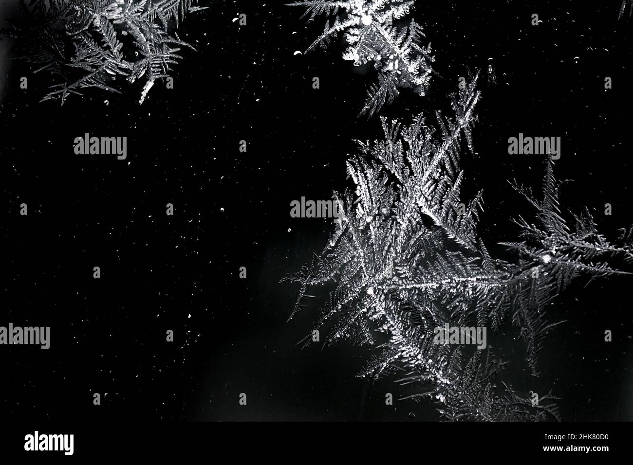 Filagree Patterns High Resolution Stock Photography and Images - Alamy