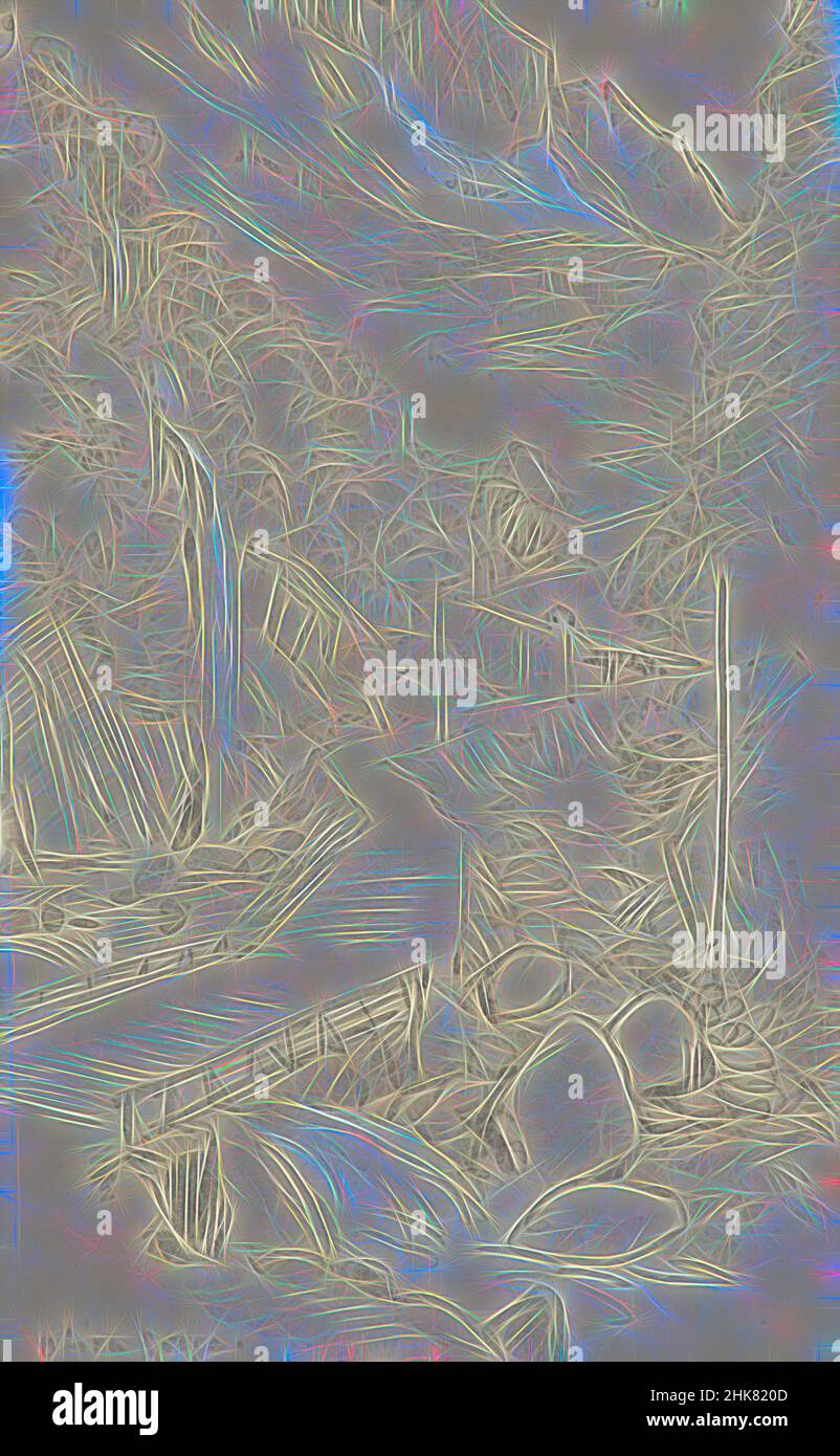 Inspired by Number One Bridge, Hamilton, New Zealand, Muir & Moodie ...