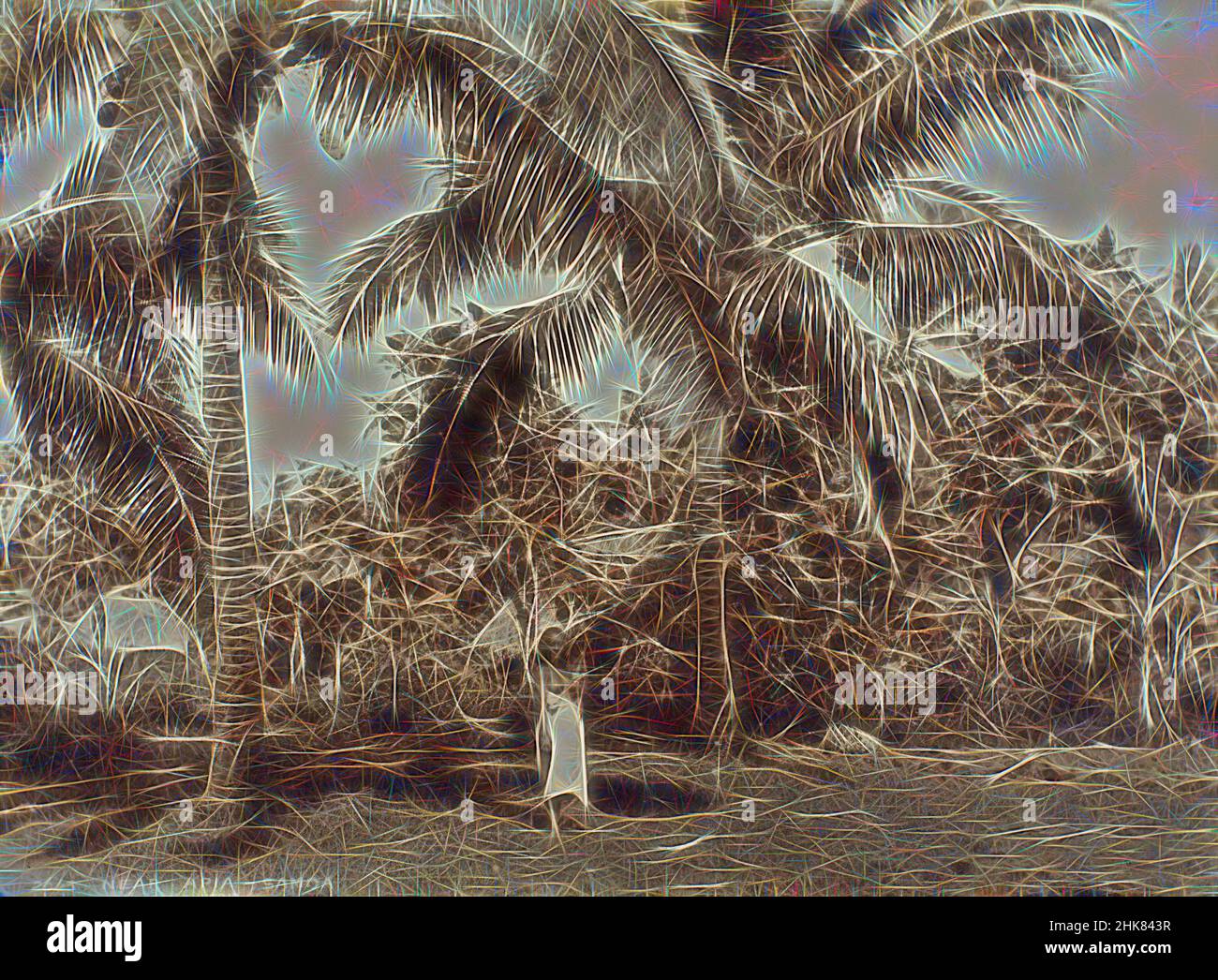 Inspired by Near Apia - Samoa. From the album: Views of New Zealand ...