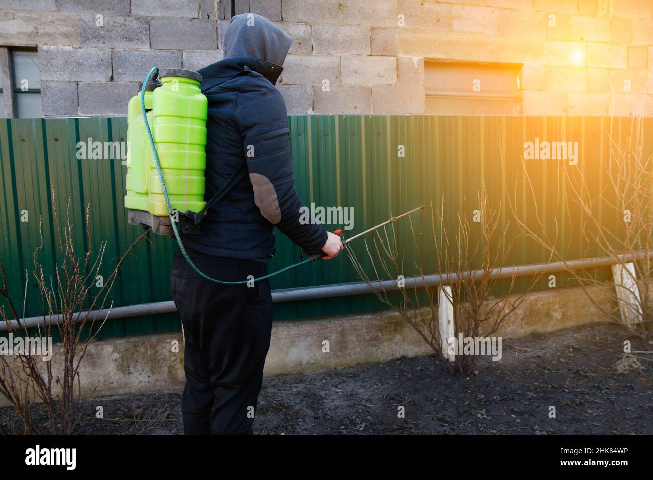 Organic ecological agriculture. Defocus farmer man spraying tree with ...
