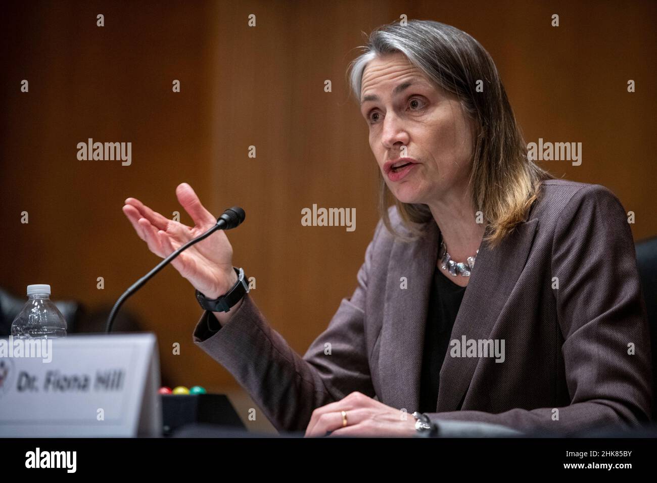 Fiona hill hi-res stock photography and images - Alamy