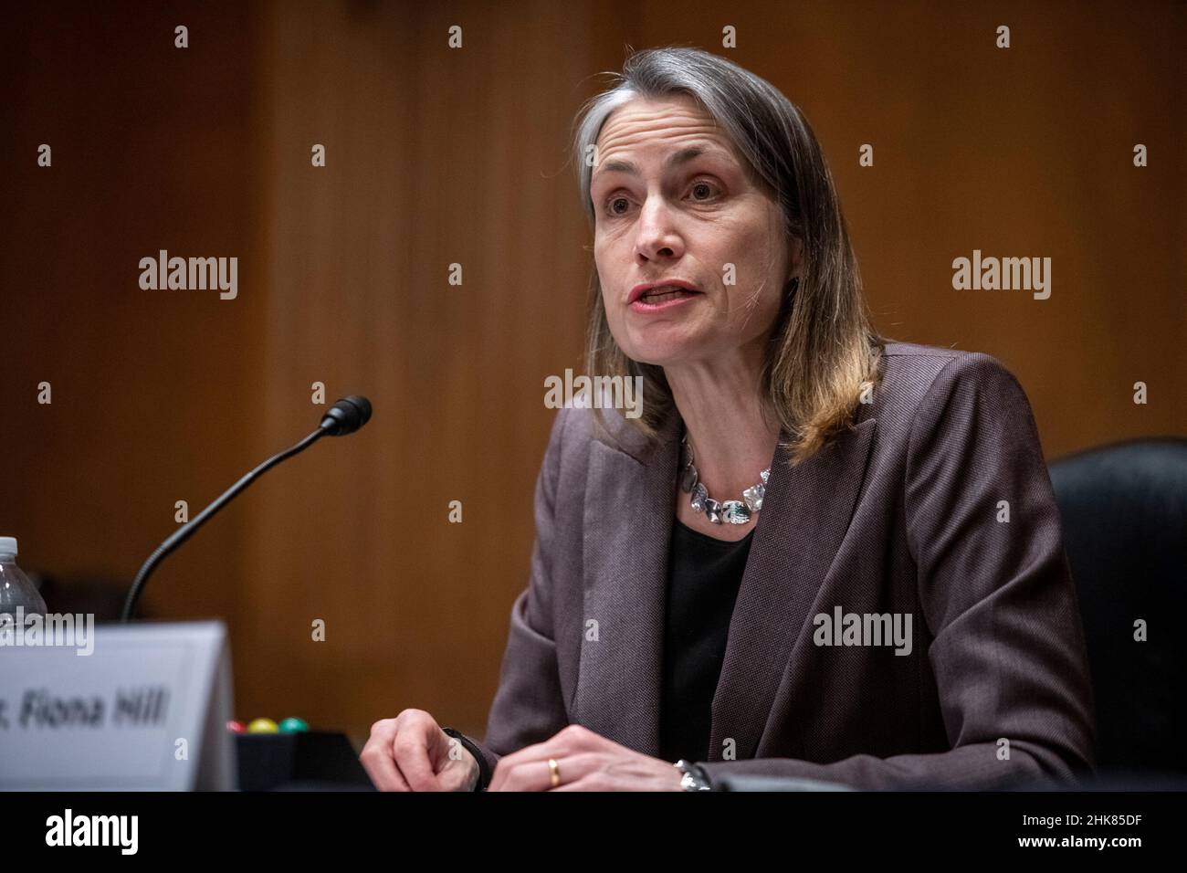 Washington, Vereinigte Staaten. 02nd Feb, 2022. Fiona Hill, Senior ...