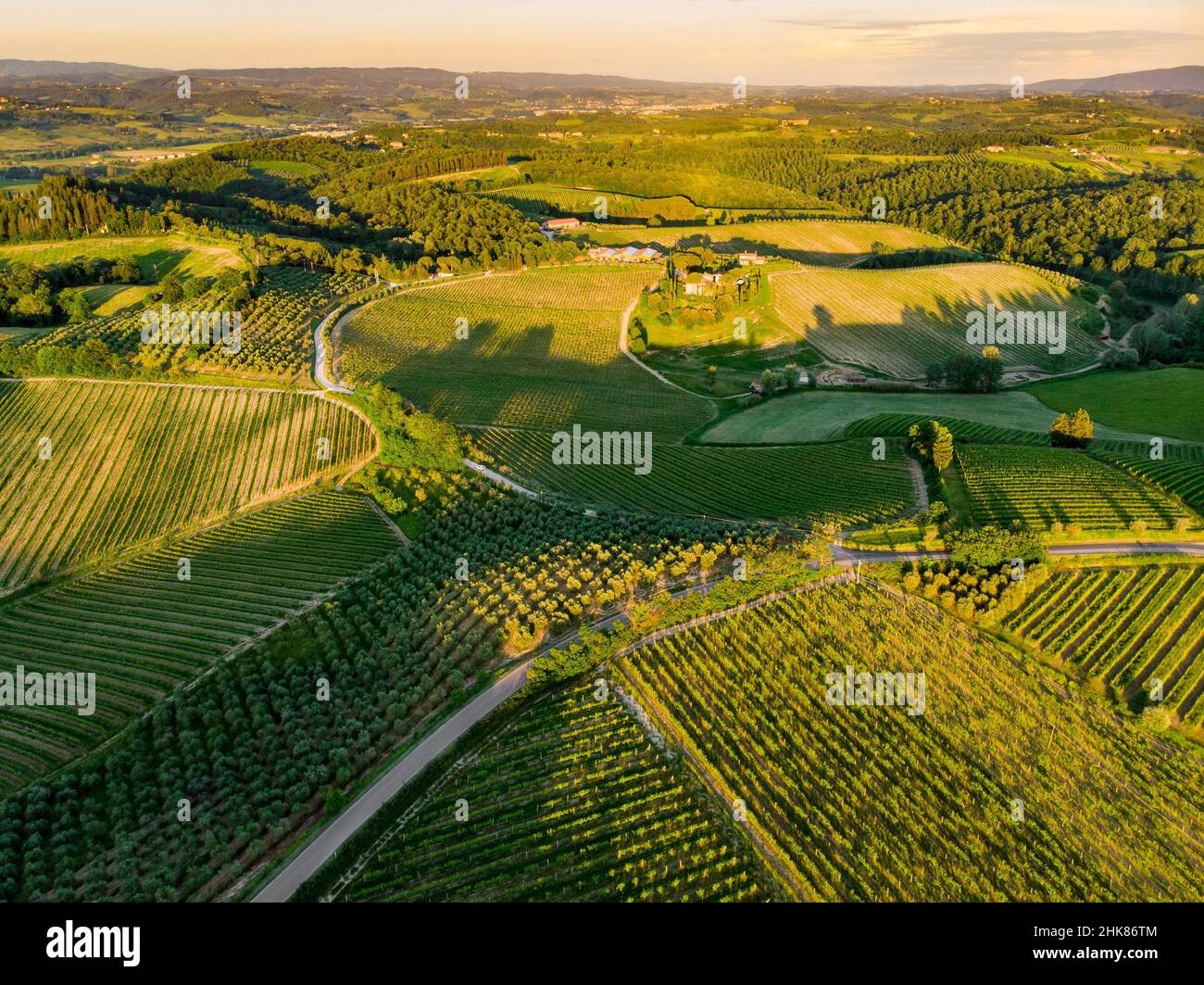 Aerial view plantation grape bearing hi-res stock photography and ...