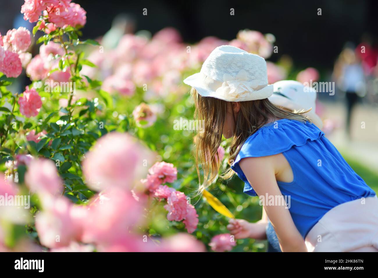 Young girl smelling flowers in Lucca city, known for its intact ...