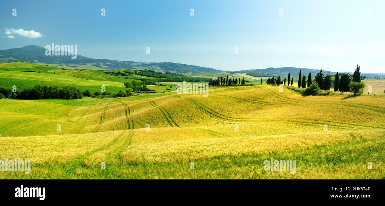 Stunning view of yellow fields and farmlands with small villages on the ...