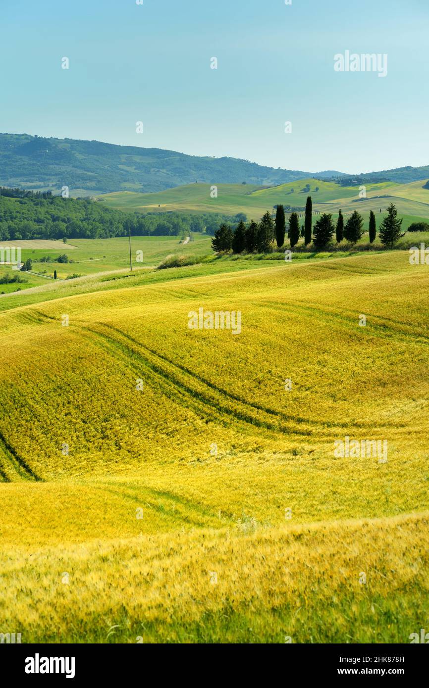 Stunning view of yellow fields and farmlands with small villages on the ...