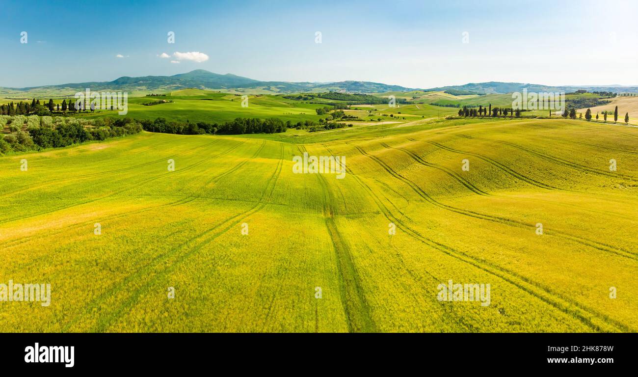 Stunning view of yellow fields and farmlands with small villages on the ...