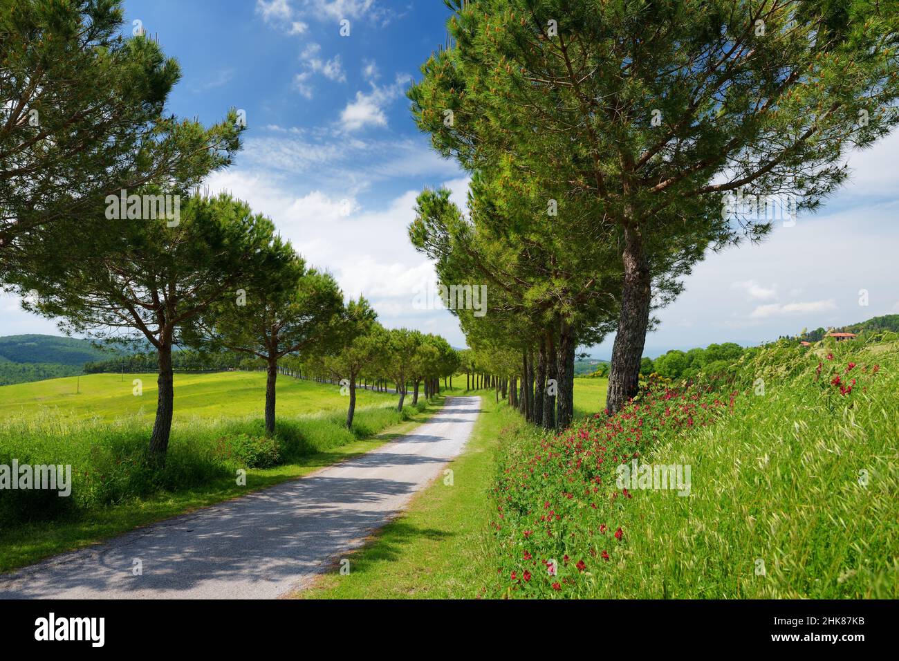 Italian driveway hi-res stock photography and images - Alamy