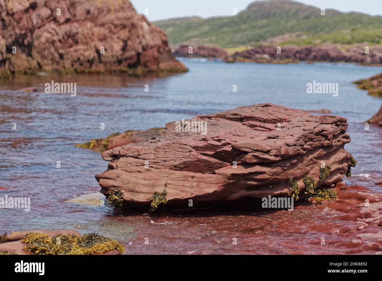 Beautiful view of Red shale rock in a sea in Newfoundland and Labrador ...