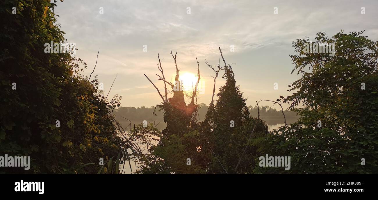 Sunset seen through tree branches Stock Photo - Alamy
