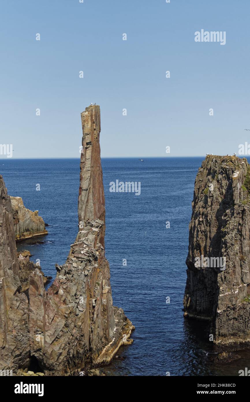 A beautiful view of rocks in a sea in Newfoundland and Labrador ...