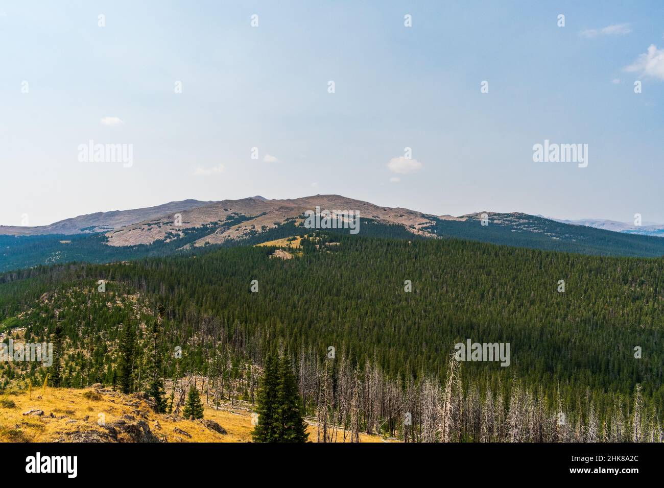 Beautiful view from Sheep Mountain fire lookout in Bighorn National ...