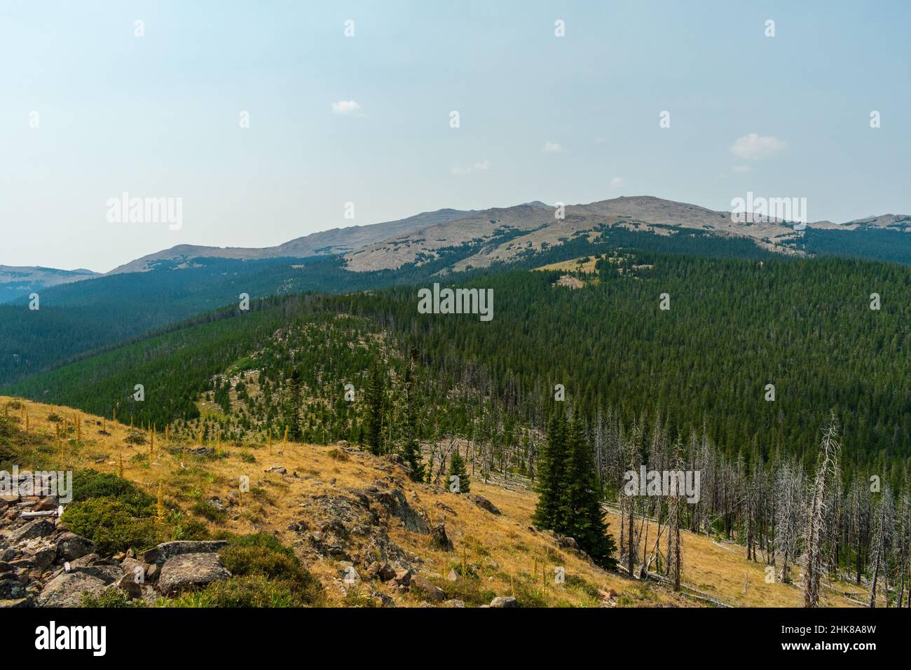 Beautiful view from Sheep Mountain fire lookout in Bighorn National ...