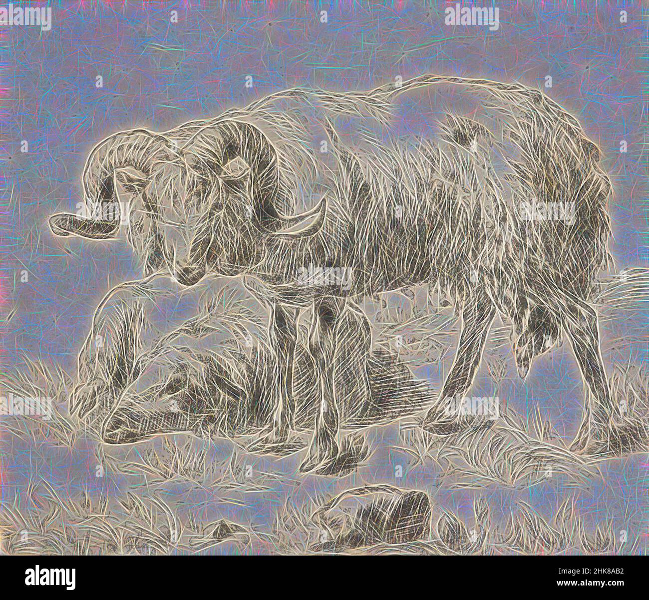 Ram and sheep animalia animals hi-res stock photography and images - Alamy