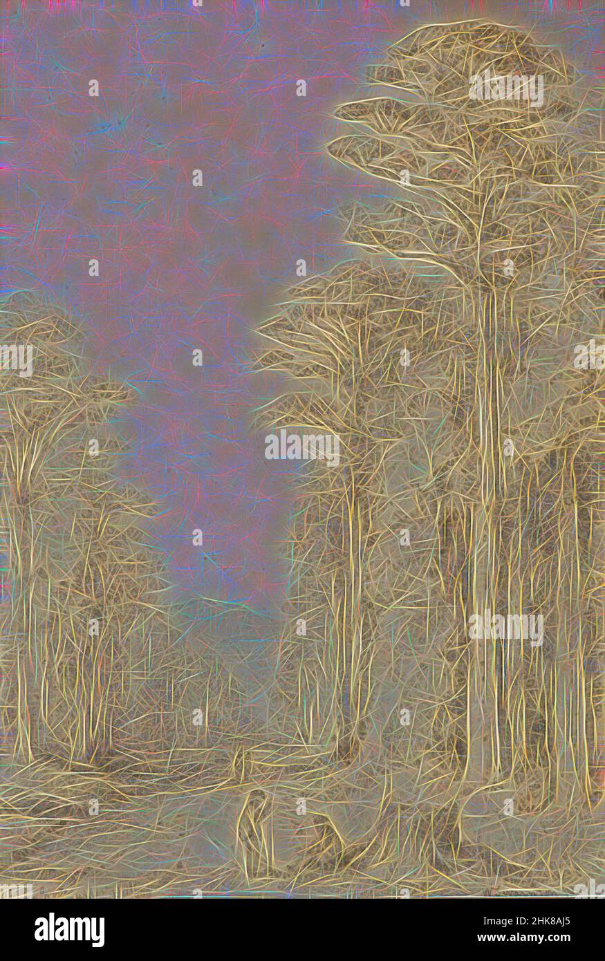 Inspired by Totara Grove, Upper Hutt, William Swainson Senior, 1847 ...