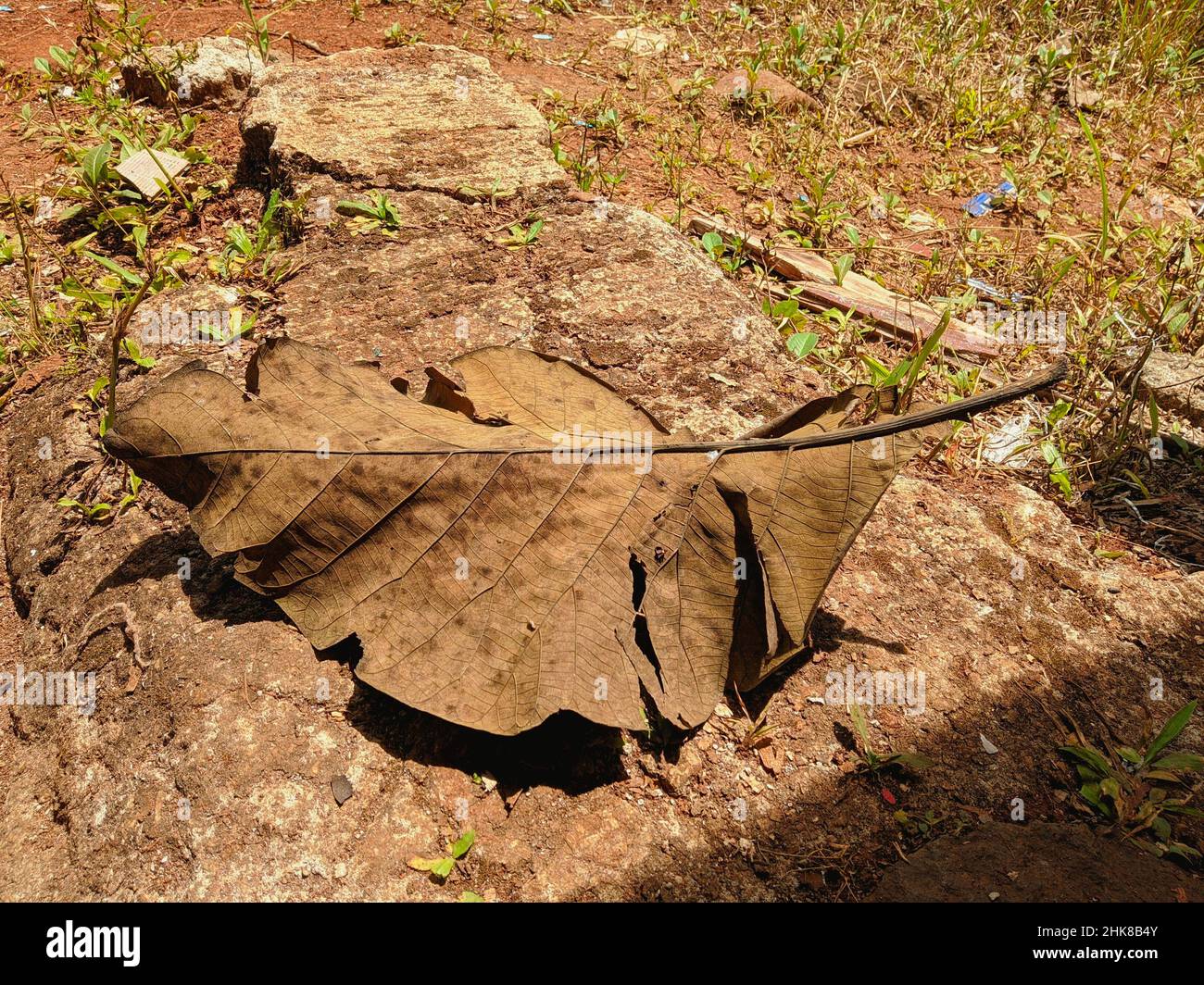 Side camera angle hi-res stock photography and images - Alamy