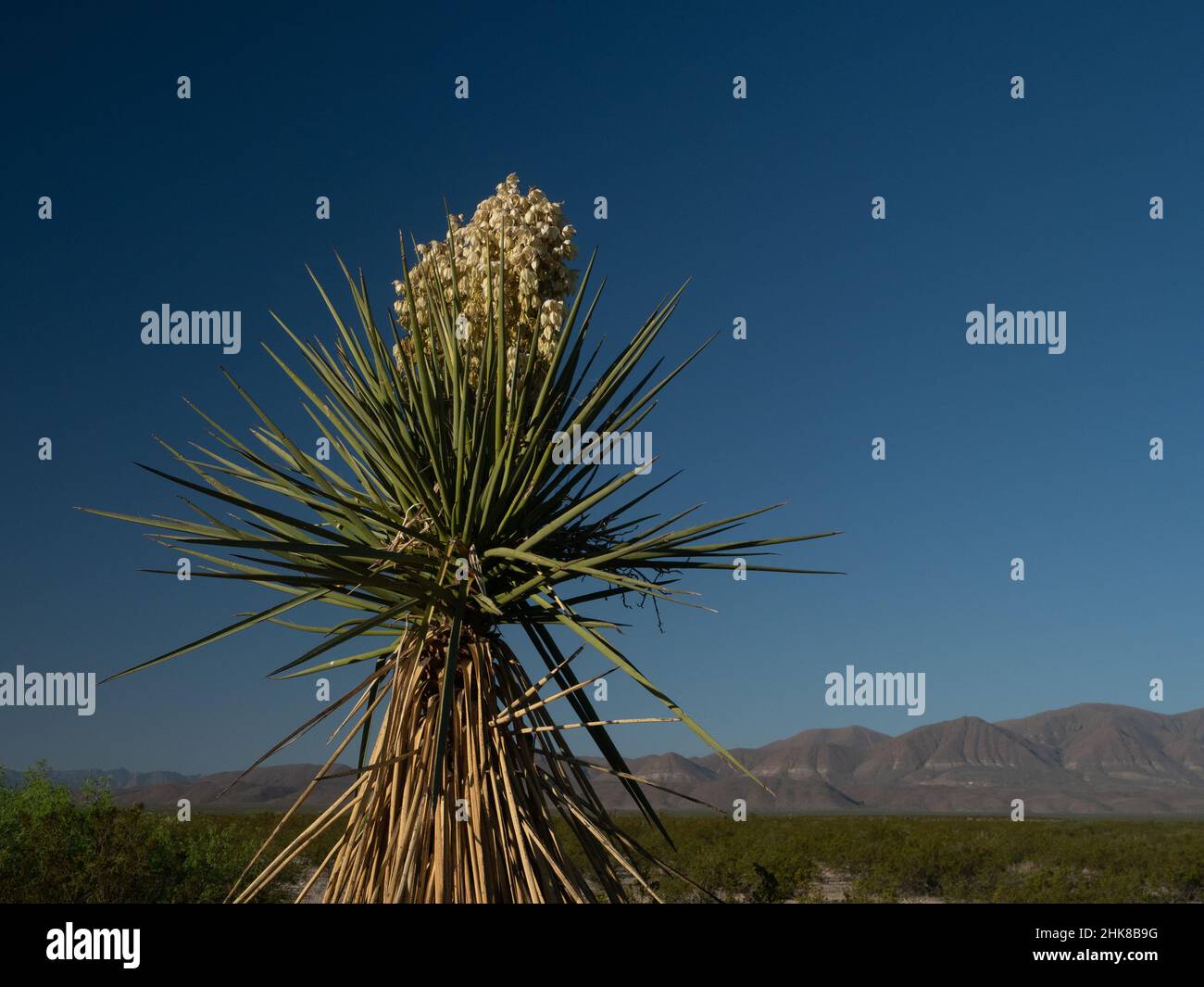 Faxon hi-res stock photography and images - Alamy