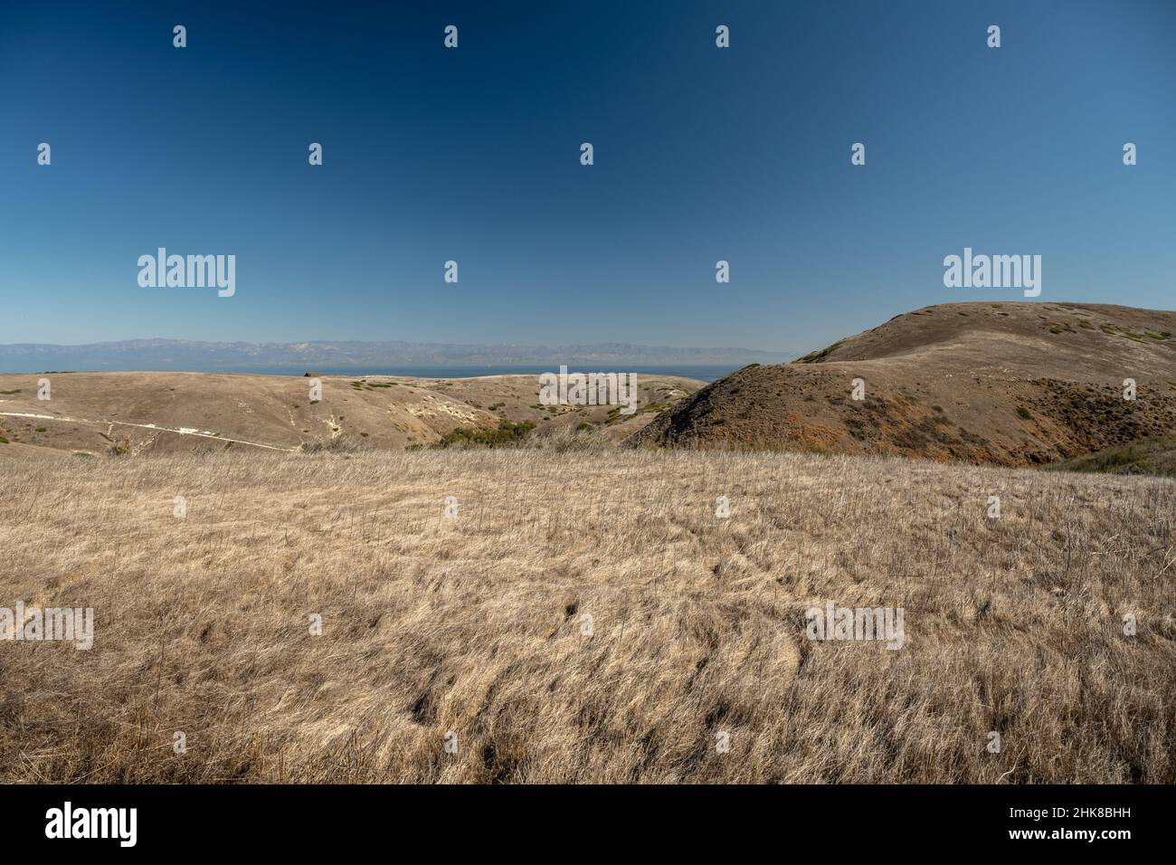Dry Grass Field and Rolling HIlls of Santa Cruz Island in Channel ...