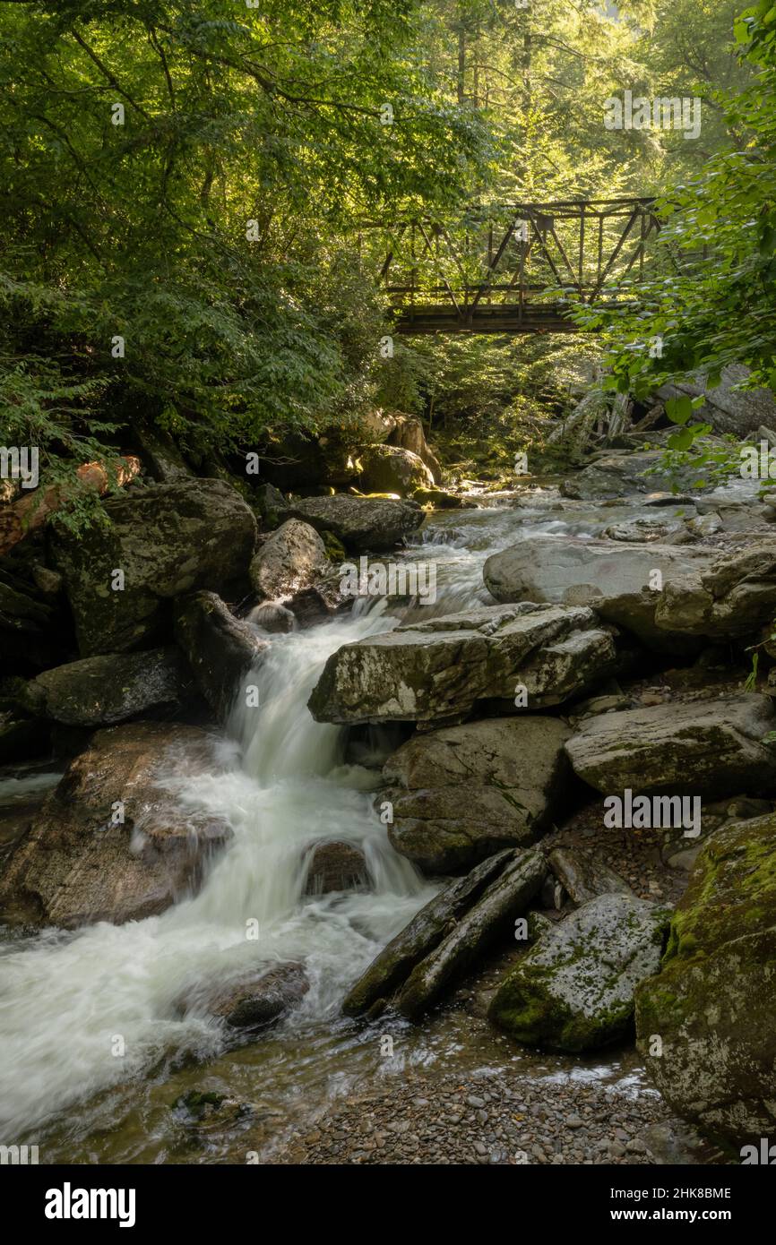 Enloe Creek Drops Down Cascade With Bridge In The Background in Great ...