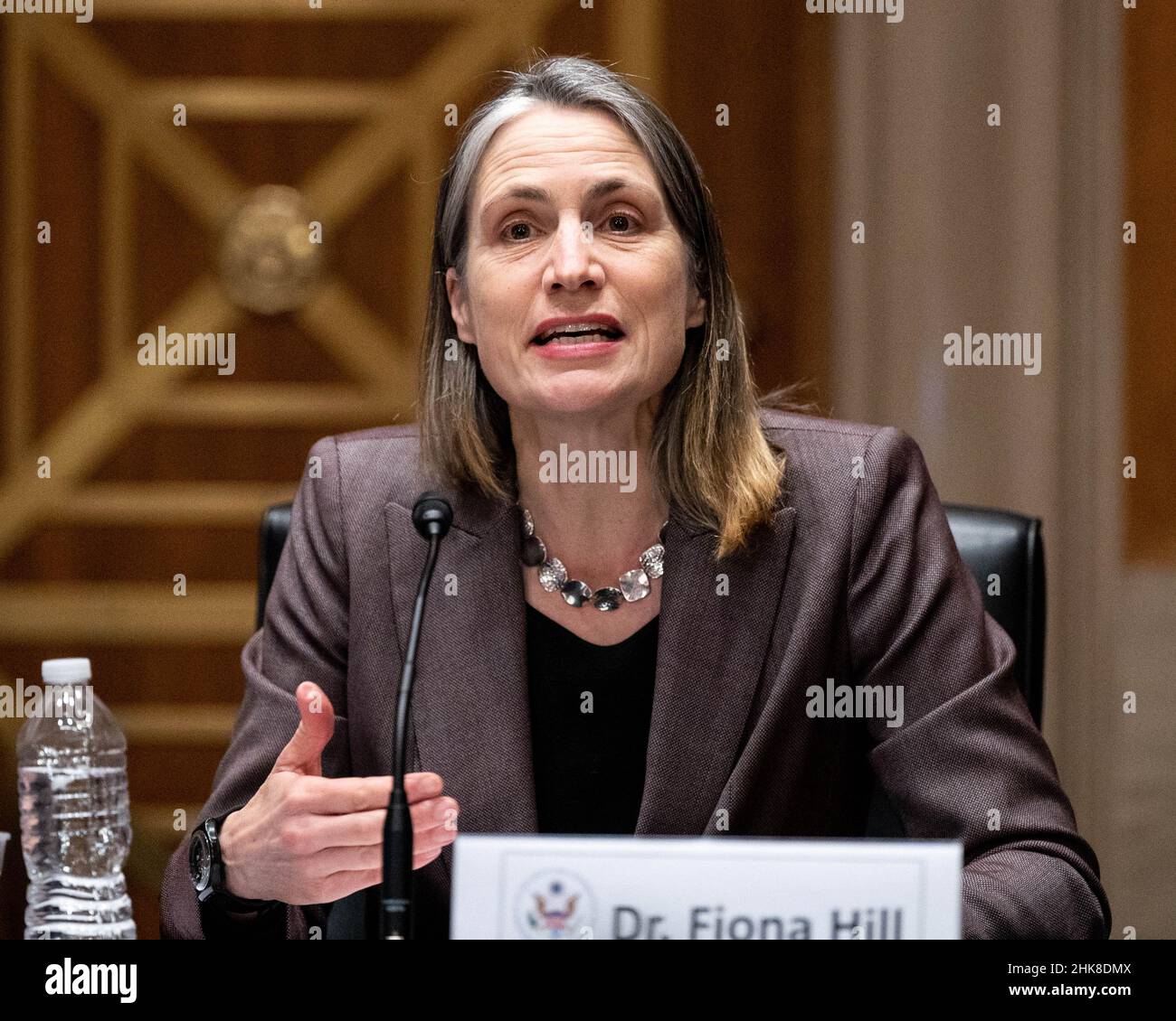 Dr fiona hill hi-res stock photography and images - Alamy