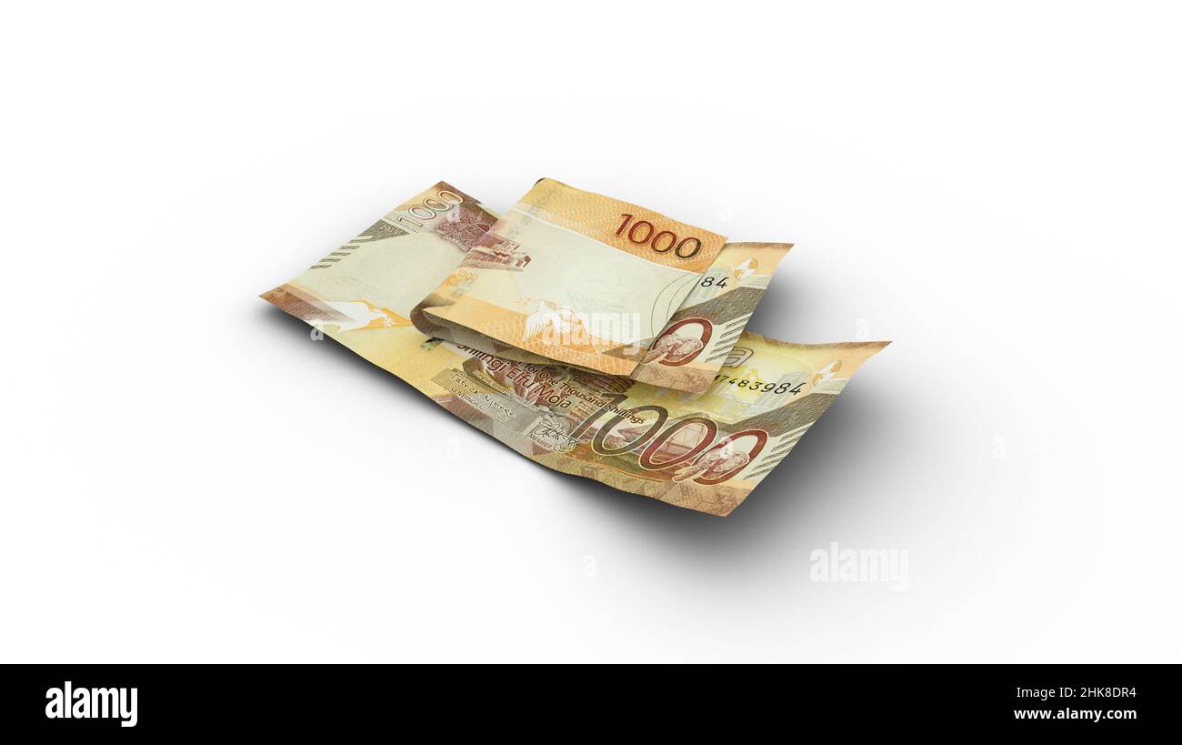 Double 1000 Kenyan shilling notes with shadows isolated on white ...