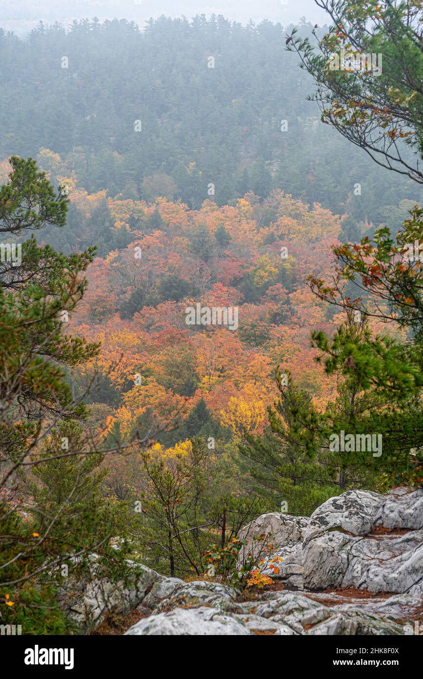 Rocks and colorful trees in Killarney Park in fall time, Canada Stock ...