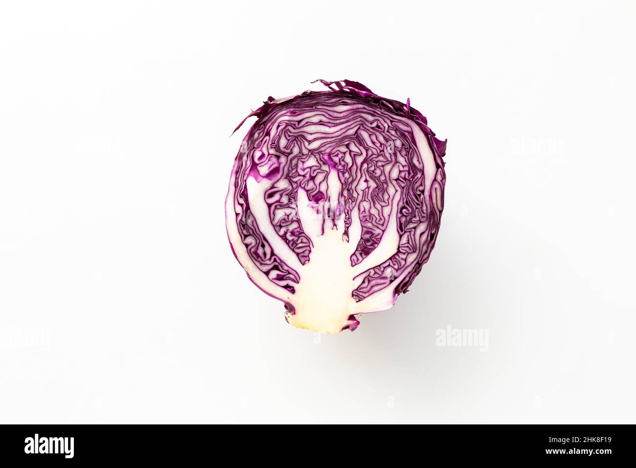 Red cabbage cross section isolated against a white background Stock ...