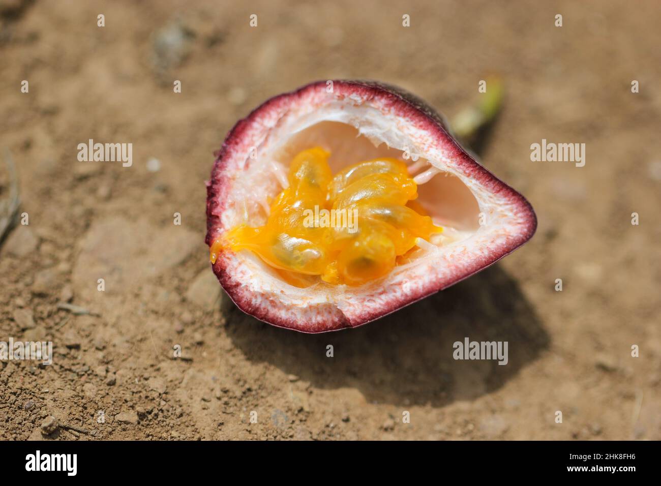 Passion fruit pulp seeds hi-res stock photography and images - Alamy