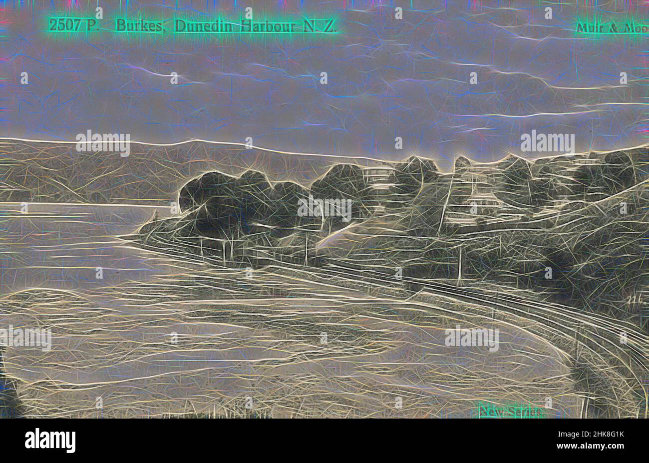 Inspired by Burkes, Dunedin Harbour N. Z., Muir & Moodie studio ...