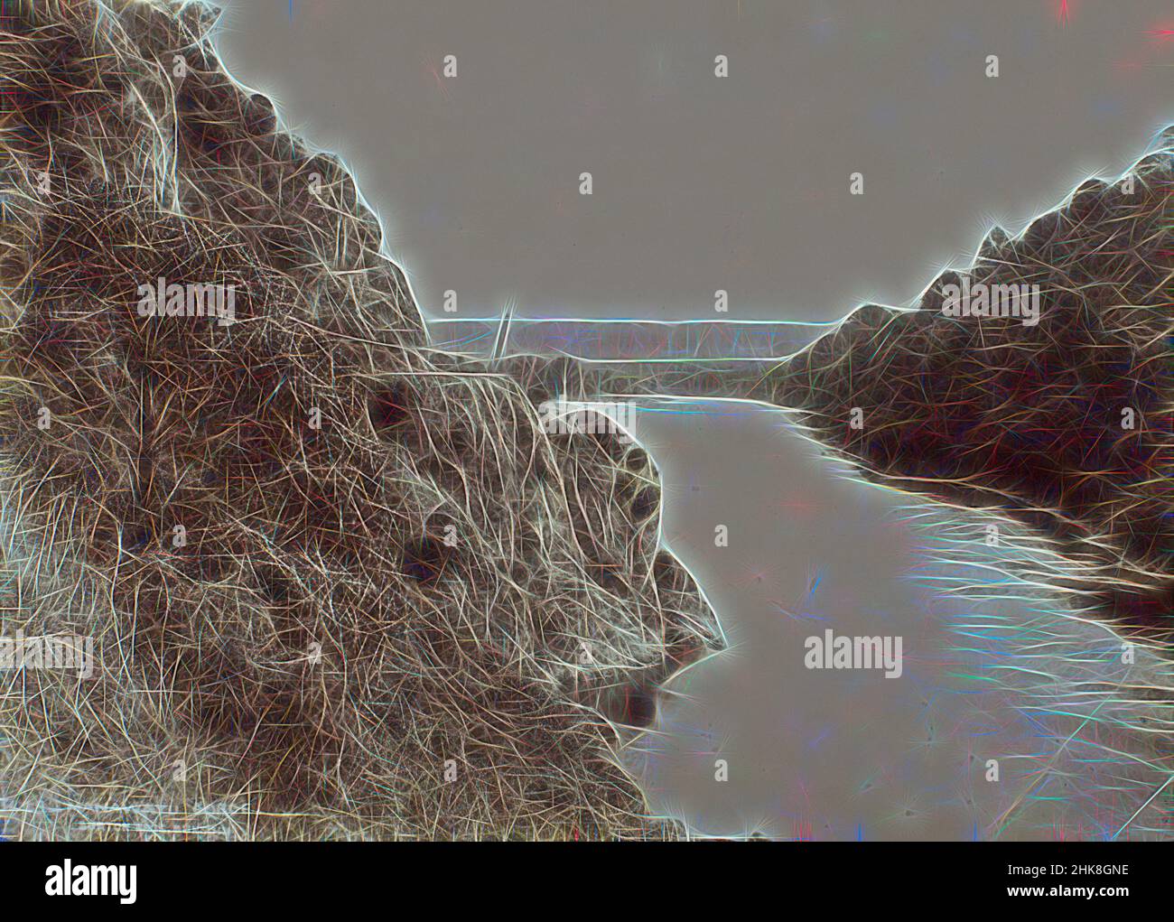 Inspired by Manawatu Gorge, Burton Brothers studio, photography studio ...